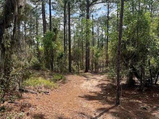 SE 10th St, Williston, FL 32696