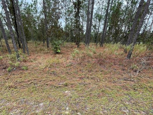 SE 133rd Ave, Dunnellon, FL 34431