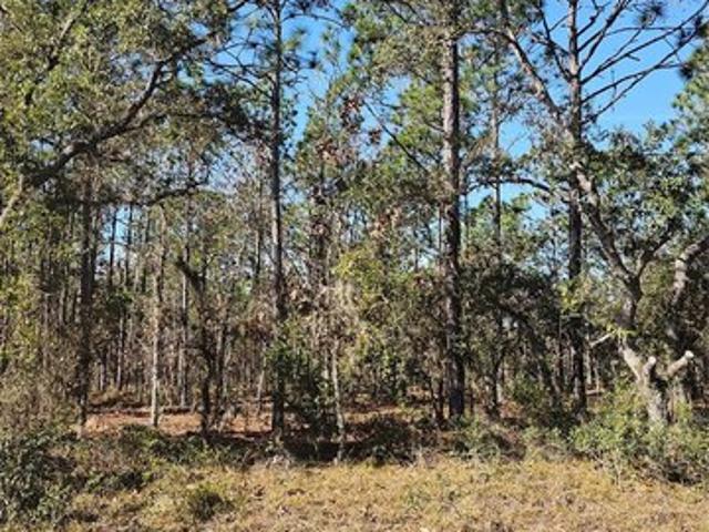 SE 136th Ter, Dunnellon, FL 34431