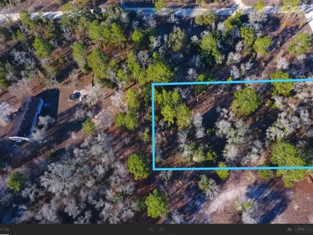 SE 137th Ct, Morriston, FL 32668 | MLS #OM717149