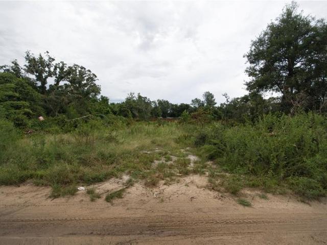 SE 144th Ln, Umatilla, FL 32784