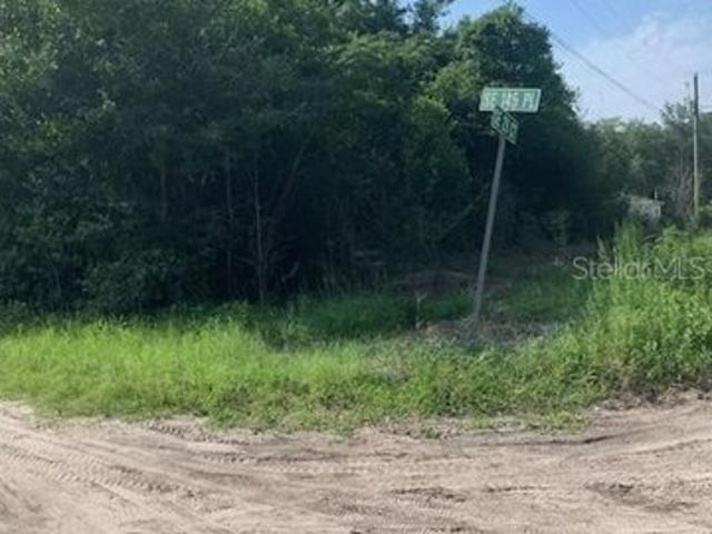 SE 145th Pl, Summerfield, FL 34491