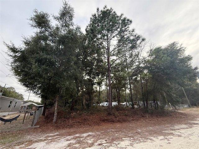 SE 147 Pl, Summerfield, FL 34491