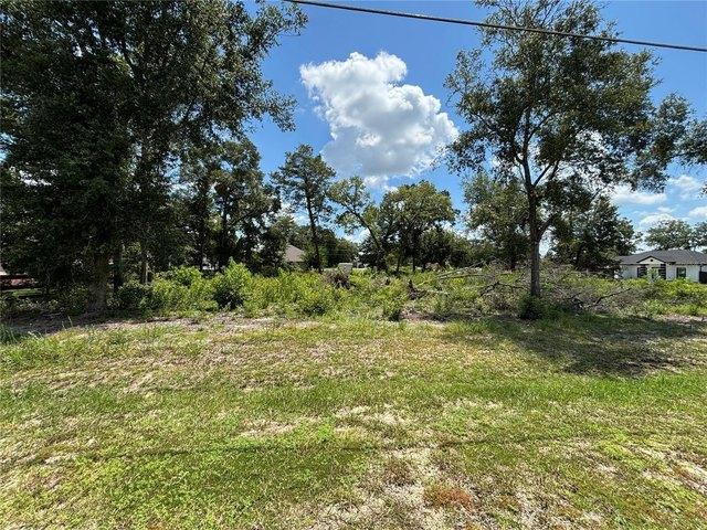 SE 164th Pl, Summerfield, FL 34491