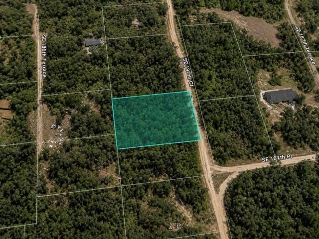 SE 187th Ct, Ocklawaha, FL 32179