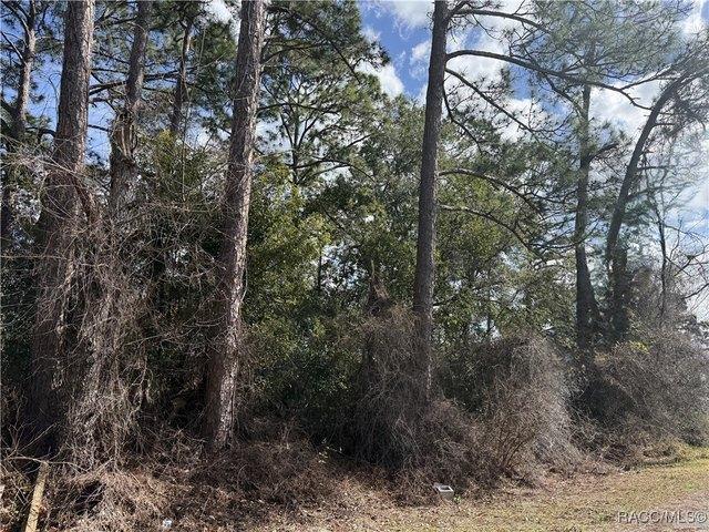 SE 190th Ave, Silver Springs, FL 34488