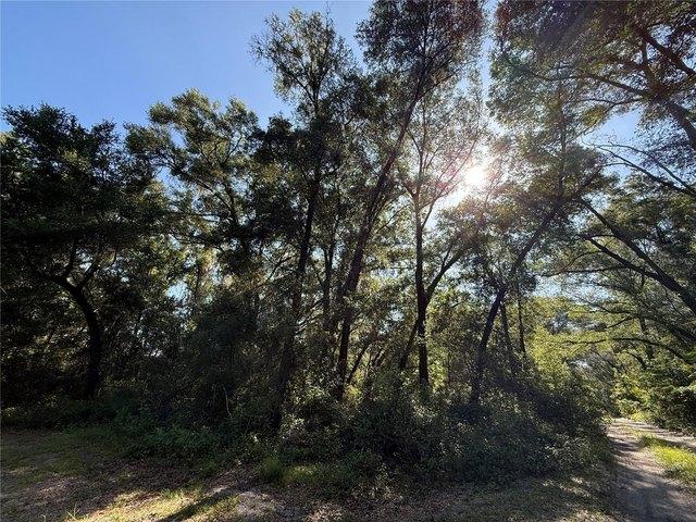 SE 35th Ct, Summerfield, FL 34491
