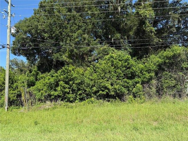 SE 35th Ct, Summerfield, FL 34491