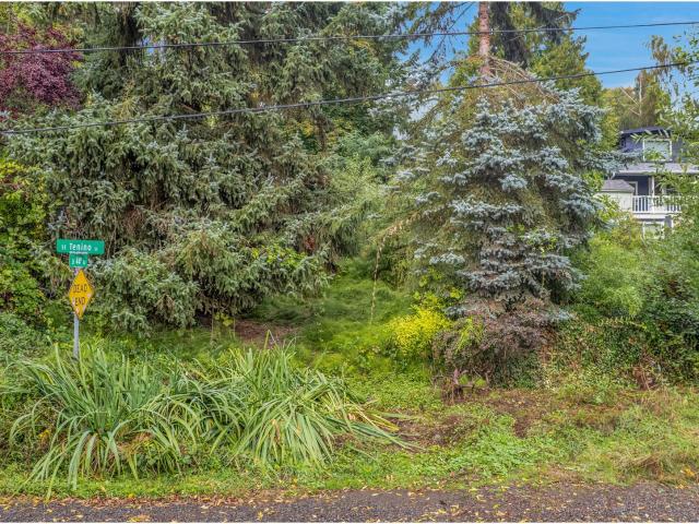 Se tenino st