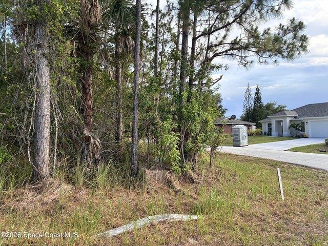 SE Ulster/Union St SE, Palm Bay, FL 32909