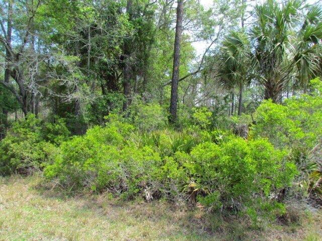 SE US Highway 19, Inglis, FL 34449