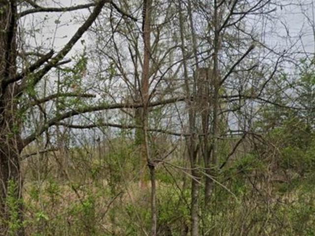 SE Alabama St Lot 23 24, Camden, AR 71701