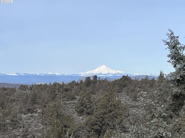SE Bluebird DR