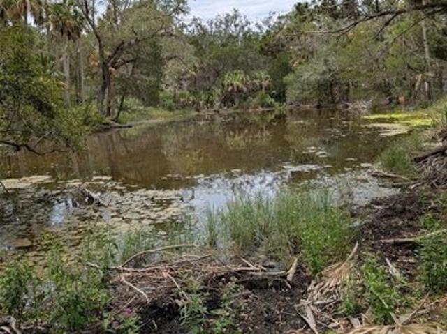 SE Camp B Rd, Gulf Hammock, FL 32639