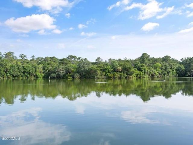 SE Carnochan Bluff Phase Ii Tolomato Is Lot 13, Darien, GA 31305