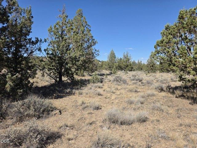 SE Cayuse Rd, Prineville, OR 97754