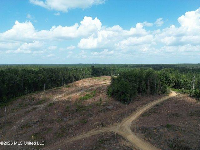 SE Cole Dr, Ruth, MS 39662