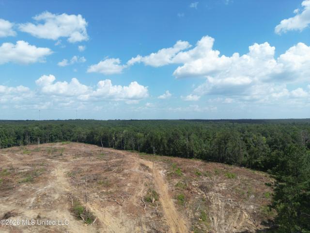 SE Cole Drive, Bogue Chitto, MS 39629