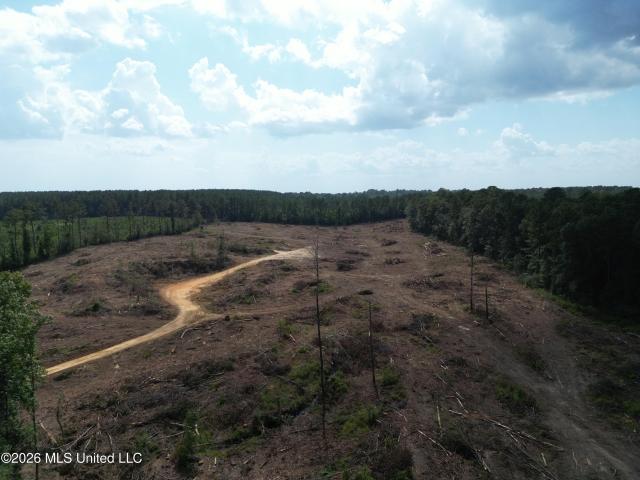 SE Cole Drive, Ruth, MS 39662