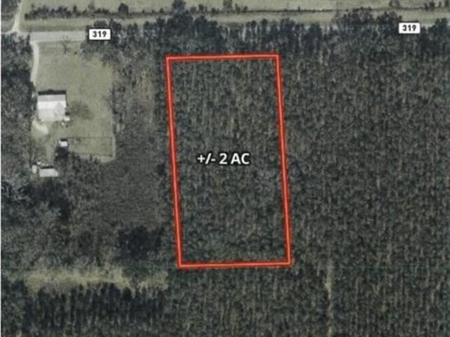Se County Road 319, Trenton, FL 32693