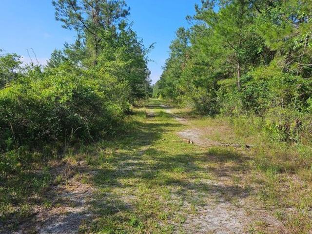 Se Cr 135, White Springs, FL 32096