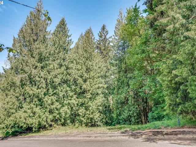 Se Duke St, Portland, Plot For Sale