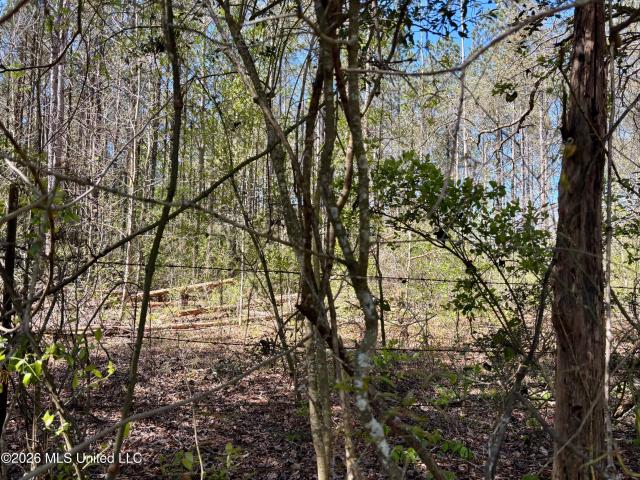SE Evans Loop, Ruth, MS 39662