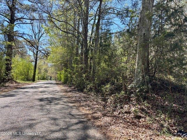SE Evans Loop, Ruth, MS 39662