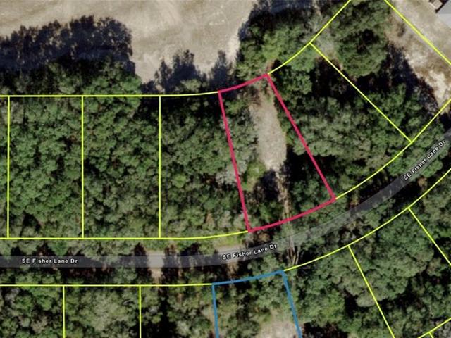 SE Fisher Lane Dr, Ocklawaha, FL 32179