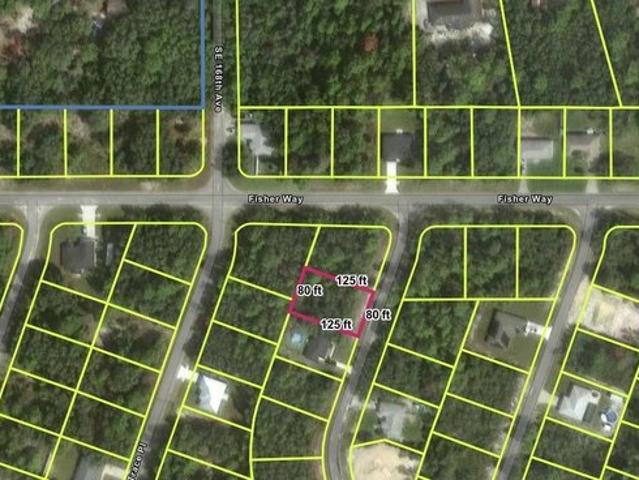 SE Fisher Way Pl, Ocklawaha, FL 32179