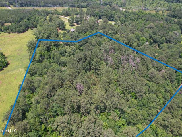 SE Freeman Road, Summit, MS 39666