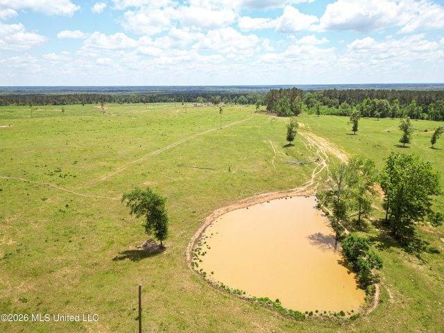 SE Gleenwood Rd, Ruth, MS 39662