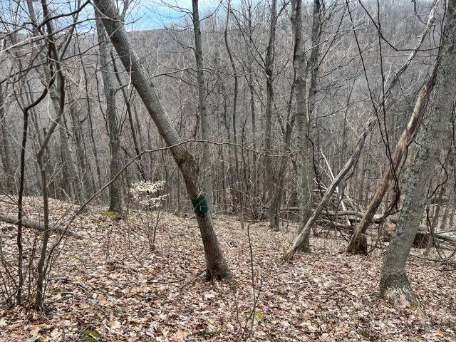 SE Hickson Run Road