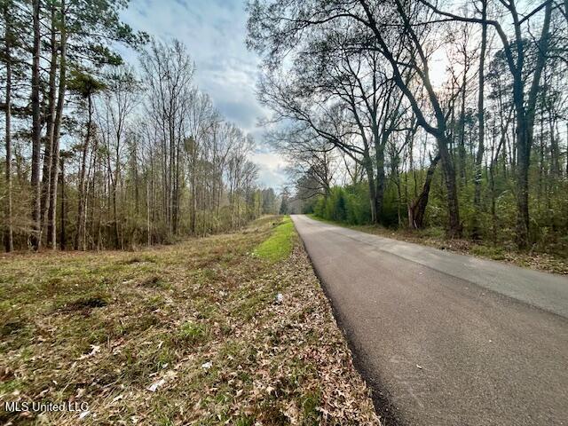 SE Lee Dr SE, Bogue Chitto, MS 39629 | MLS #4135