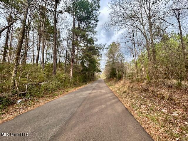 SE Lee Drive, Bogue Chitto, MS 39629