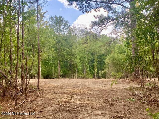 SE Lee Drive, Bogue Chitto, MS 39629