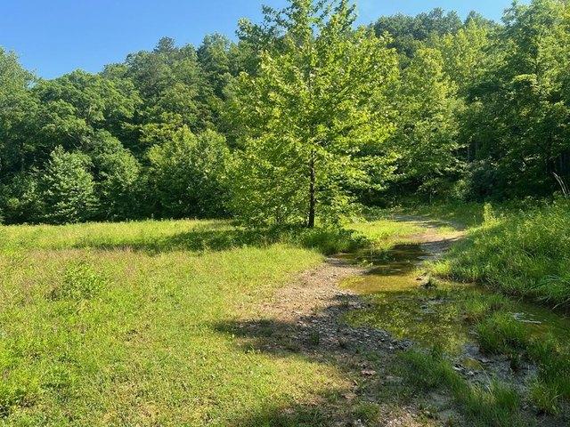 SE Licking River Rd, Gunlock, KY 41640