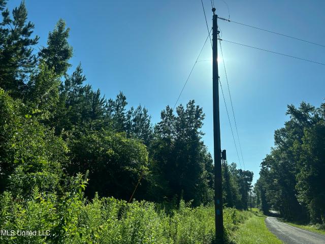 SE Mccullough Road, Bogue Chitto, MS 39629