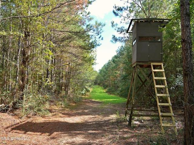 SE Pleasant Grove Rd, Ruth, MS 39662