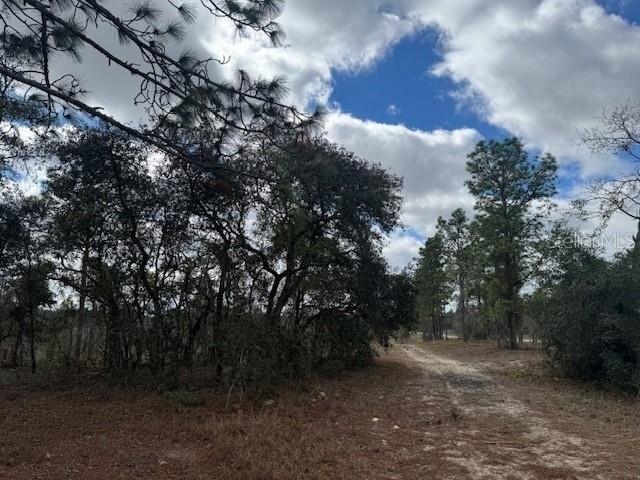 Se State Road Lot B, Morriston, Plot For Sale