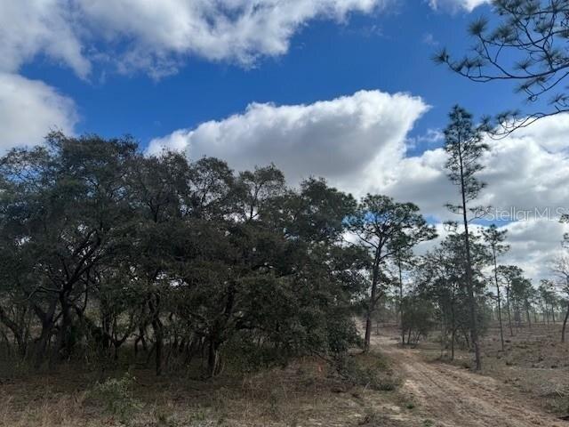 Se State Road Lot D, Morriston, Plot For Sale