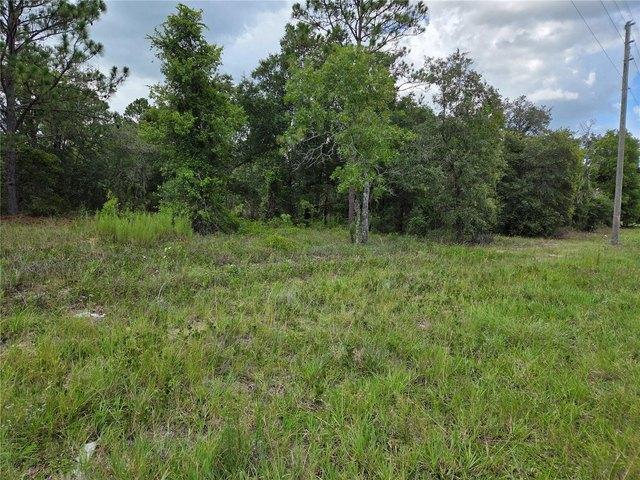 Se State Road 121, Williston, FL 32696