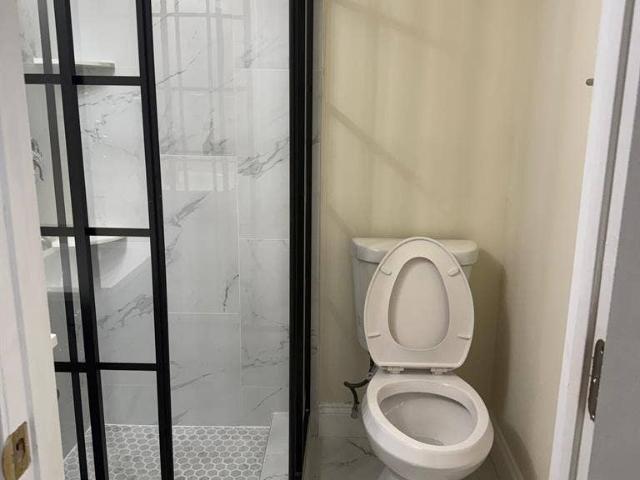 Semi basement Apartment for rent