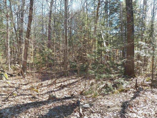 Seminole Rd, Hillsborough, Plot For Sale