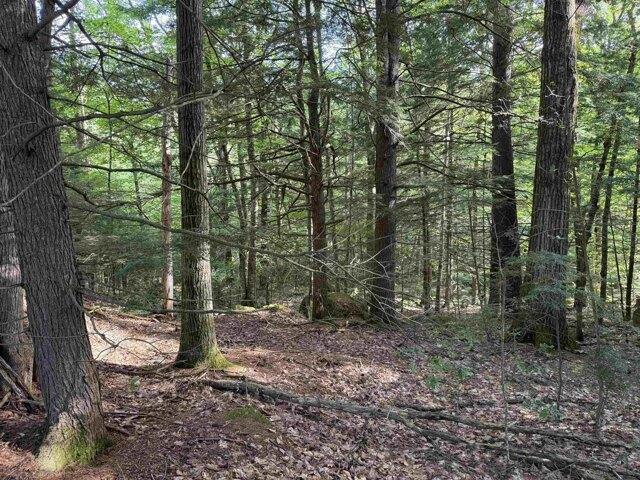 Seminole Rd, Hillsborough, Plot For Sale