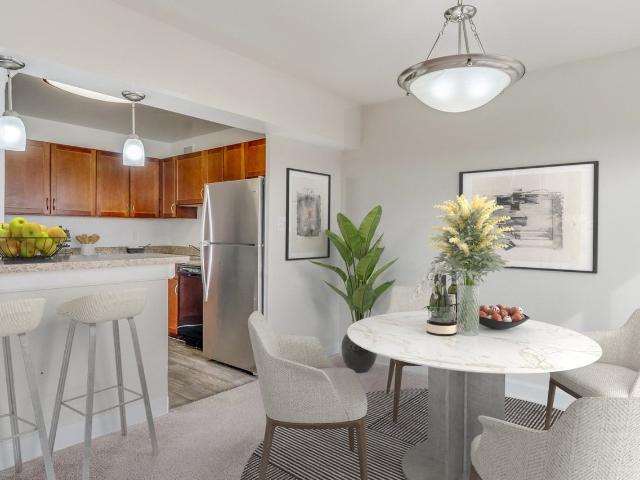 Seminary Towers Studio Apartment for Rent at 4701 Kenmore Ave, Alexandria, VA 22304