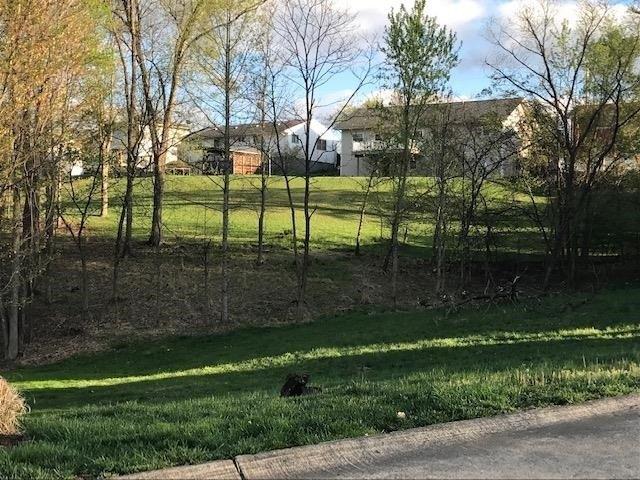 Seneca Rd Lot 31, Huntington, WV 25705