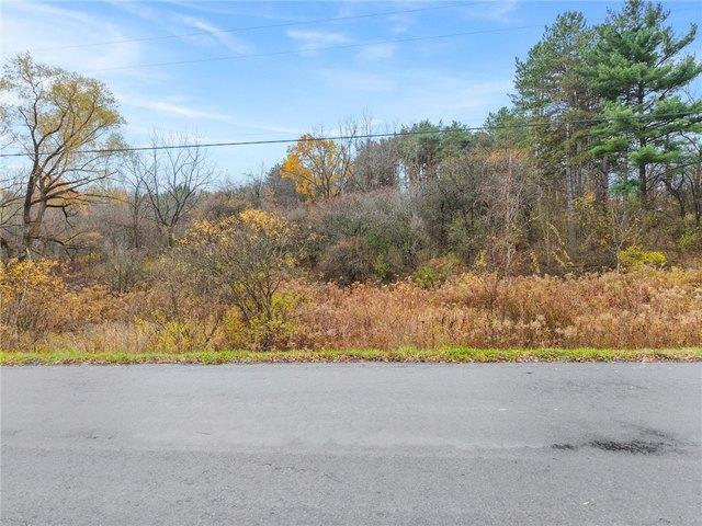Seneca Rd, Trumansburg, NY 14886