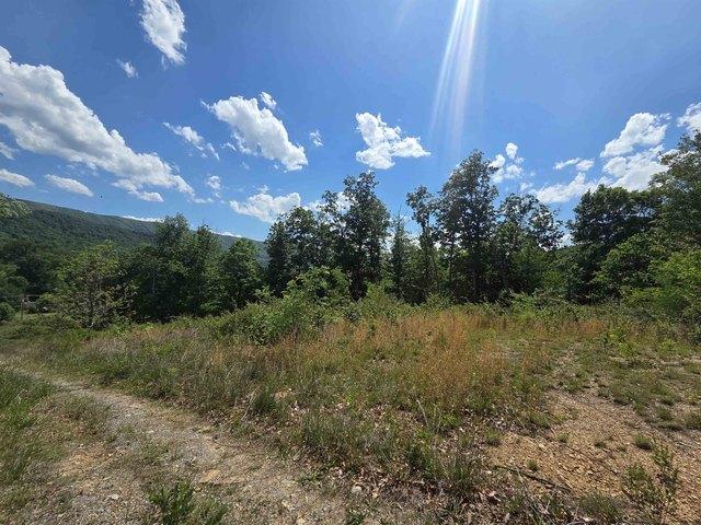 Seneca Trl, Peterstown, WV 24963