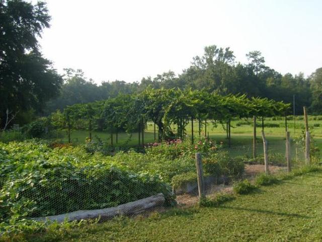 SENIORS live on our farm